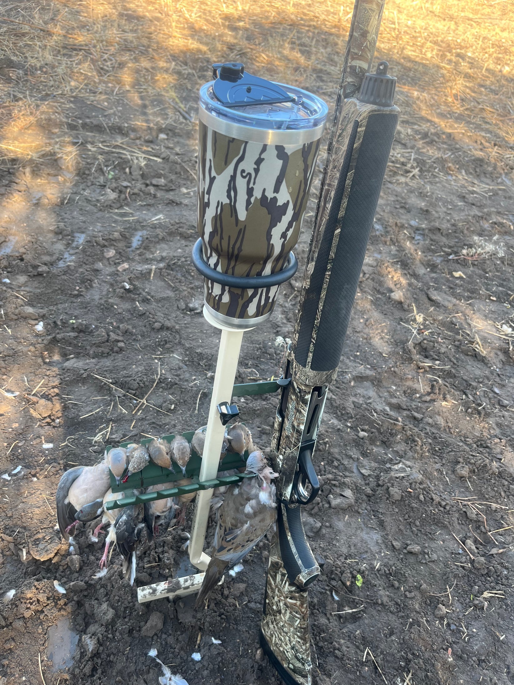 Dove Caddy – Wild Chase Outdoors