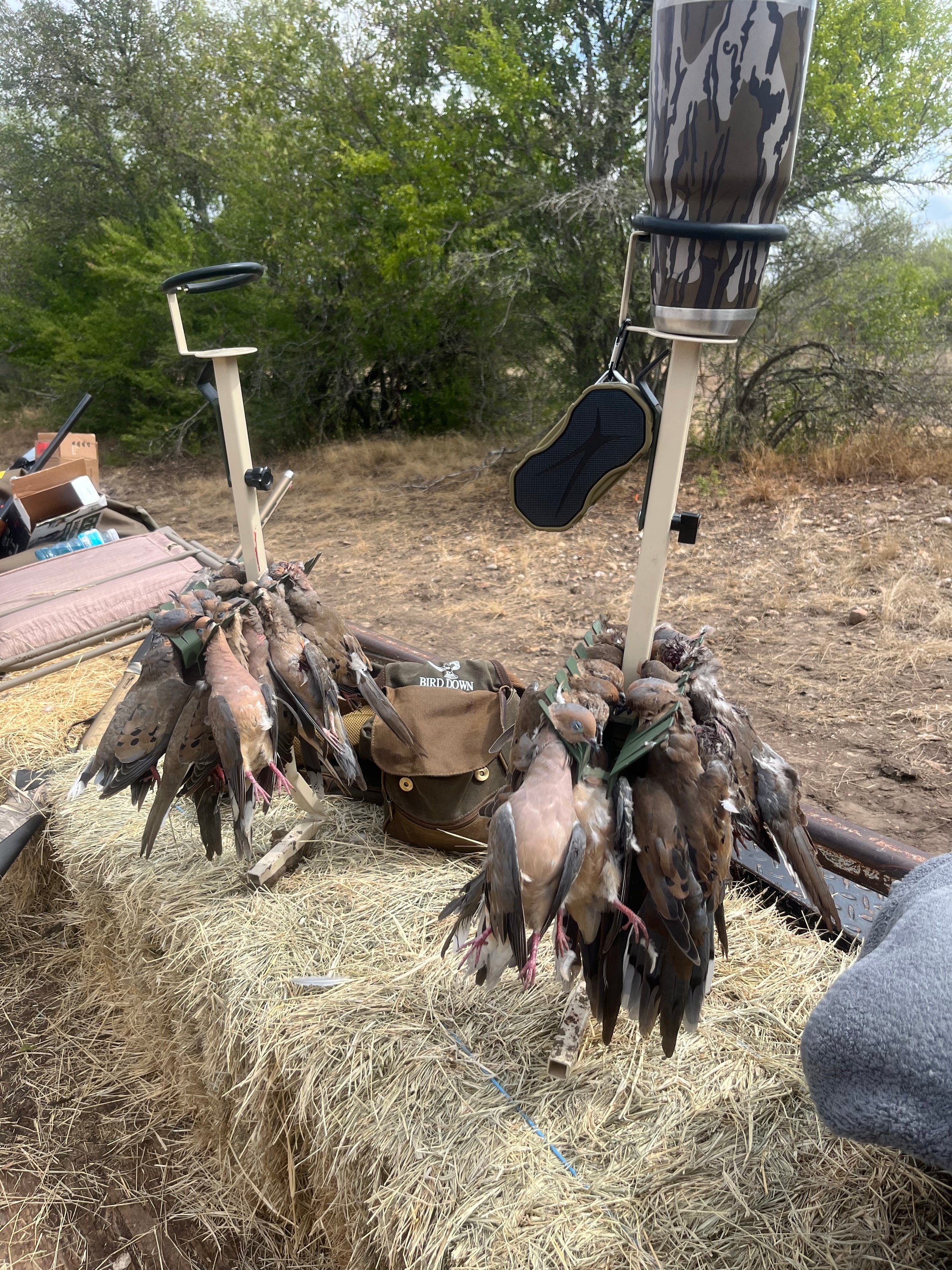 Dove Caddy – Wild Chase Outdoors